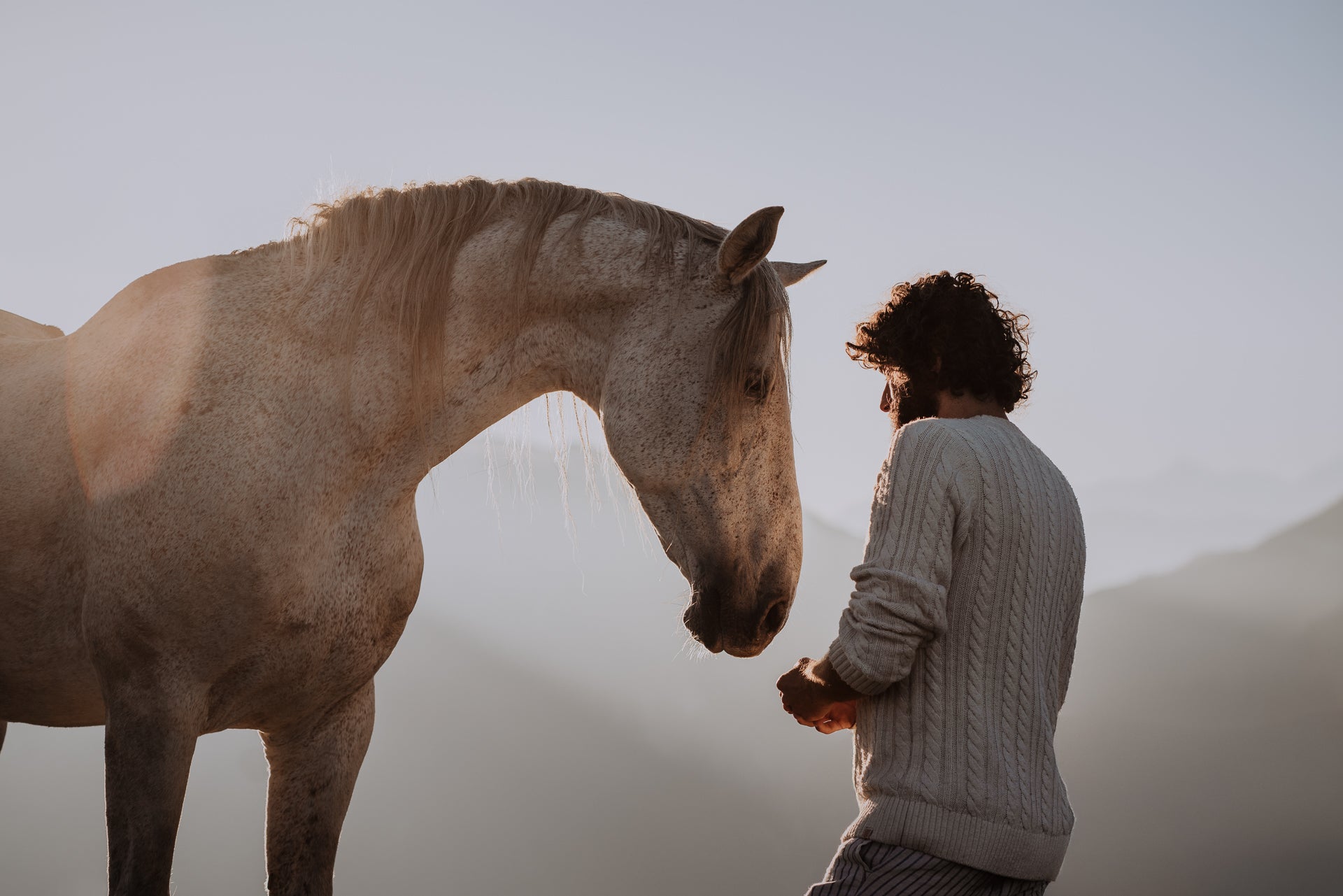 Matthias Geysen in New Zealand - Retreats with Horses & Seminars – NZ Mares